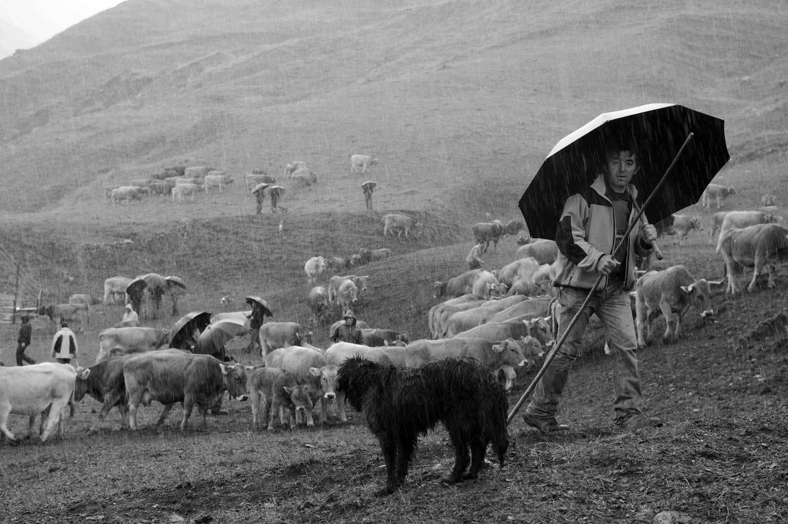 Pren part - Amics Amigues de la Pagesia